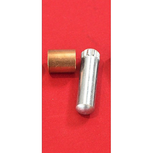 Classic Mini Mk1 & Mk2 External Door Hinge Replacement Pin & Bush - MS15